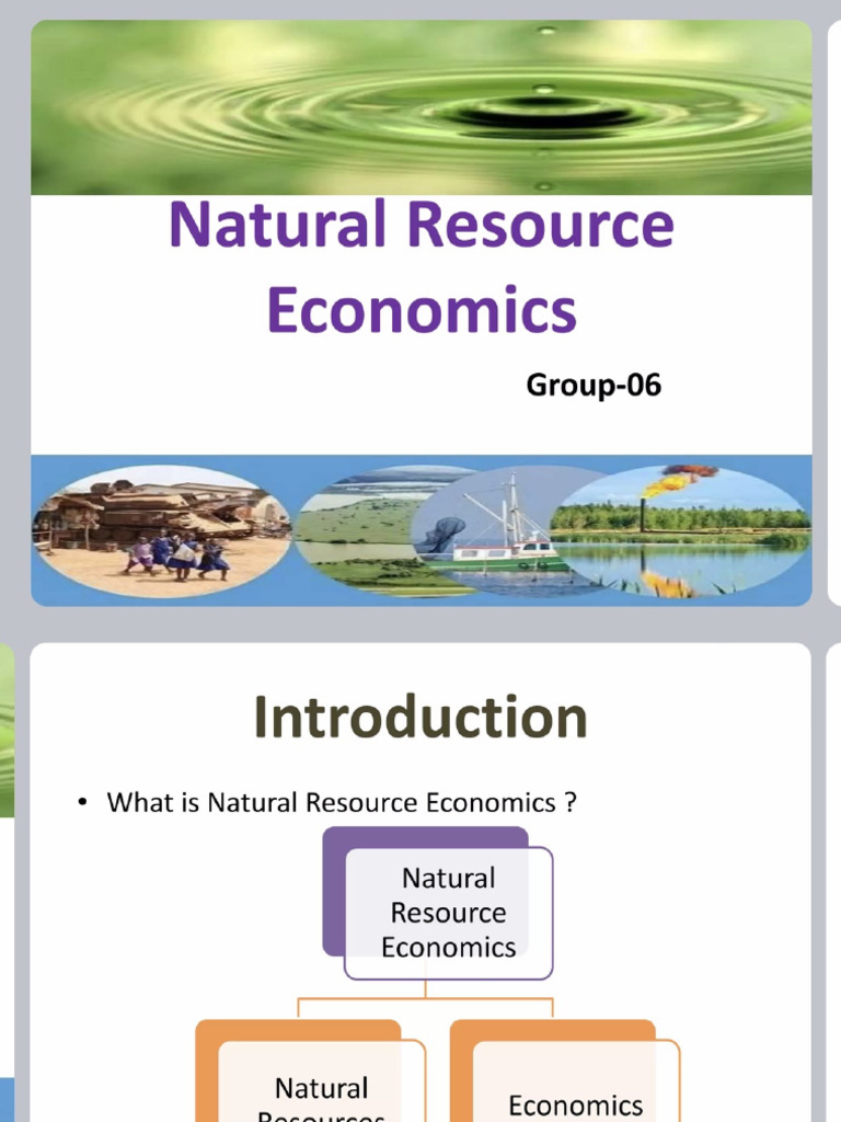 Chap 9 Natural Resourse | PDF