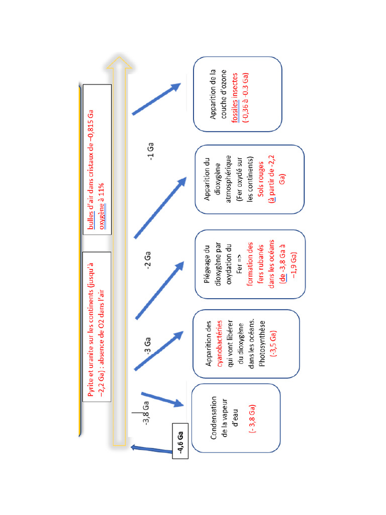 Correction Activité 1 | PDF