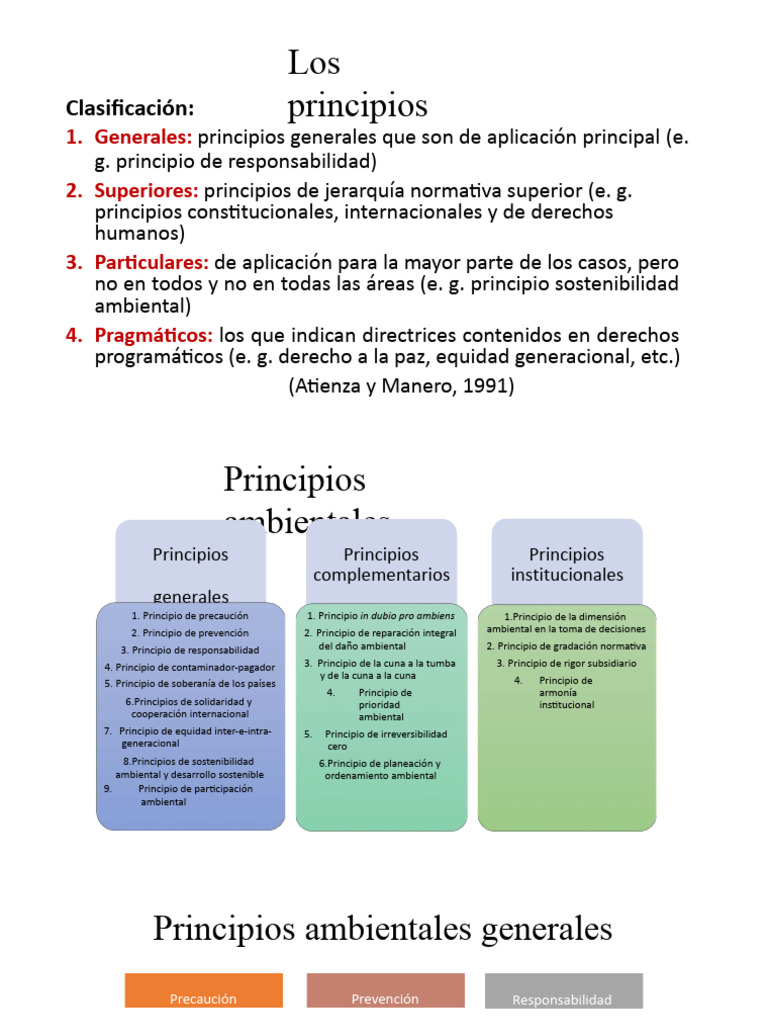 Principios Ambientales Esenciales | PDF | Ciencias Políticas | Justicia
