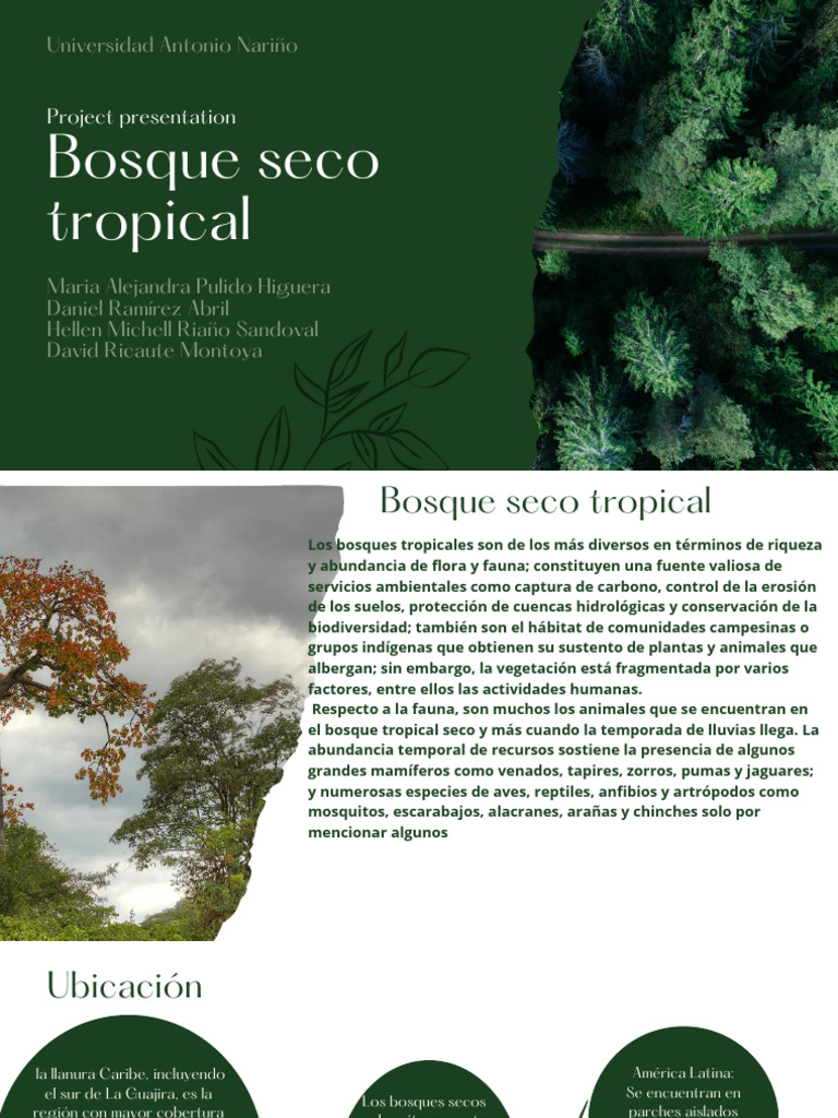 Conservación del Bosque Seco Tropical | PDF | Los bosques | Biodiversidad