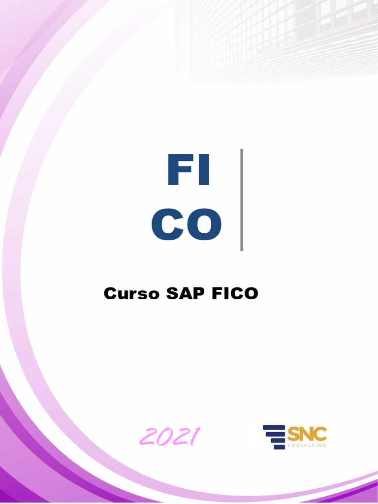 Manual SNC FICO FUNCIONAL | PDF
