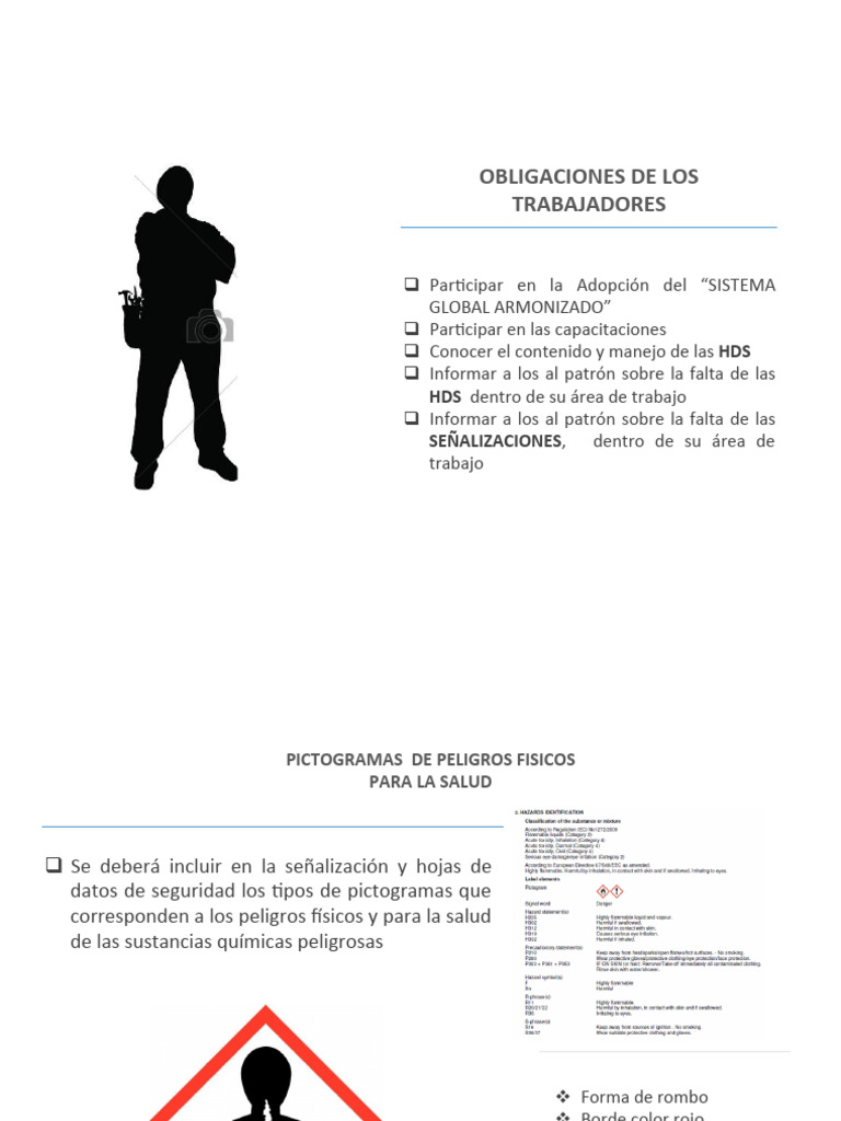 NOM-018-STPS-2015 - Presentacion - P2 | PDF