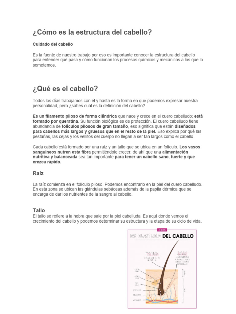 Cómo Es La Estructura Del Cabello | PDF