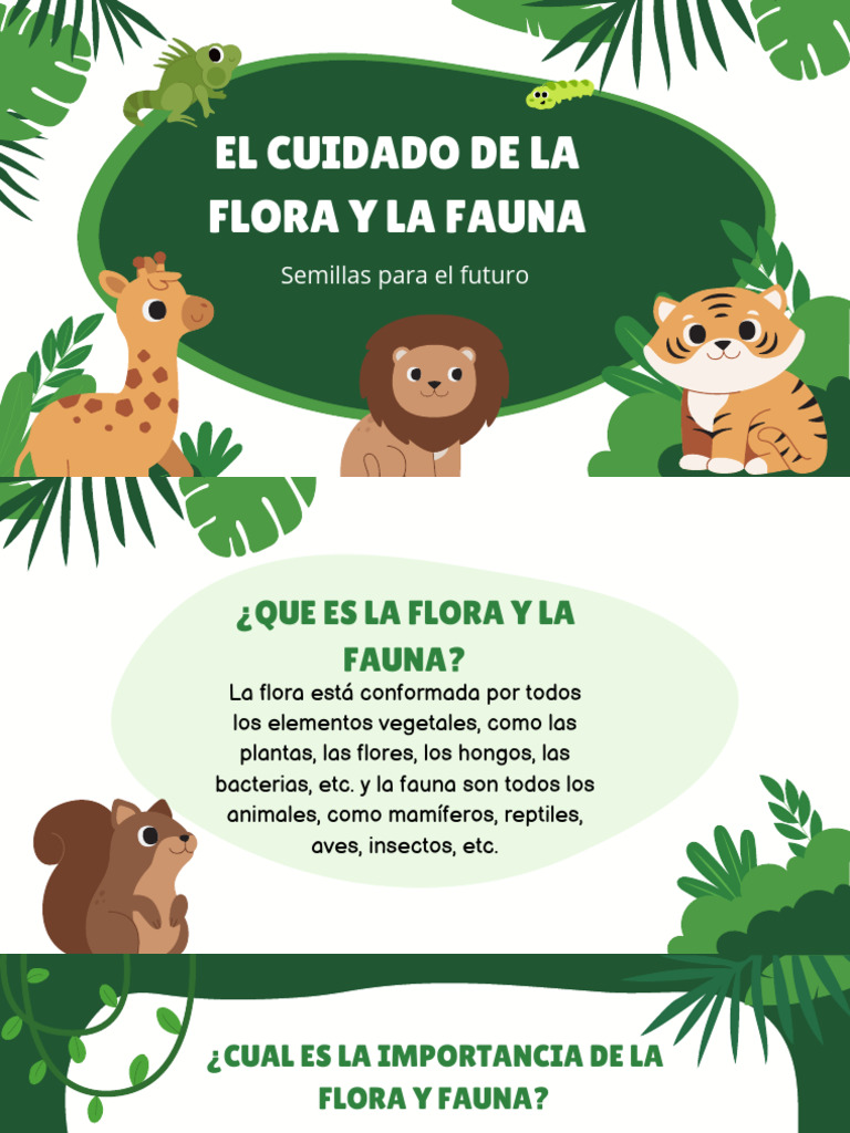Flora y Fauna | PDF