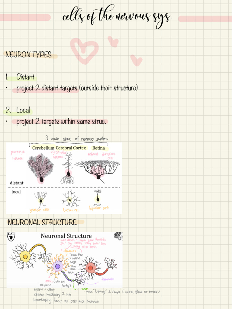 Psych Notes Sample | PDF