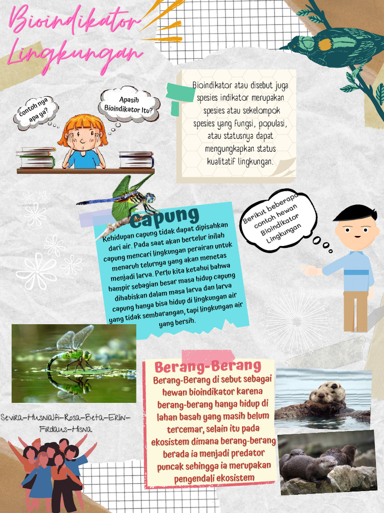 Contoh Bioindikator Lingkungan Hidup | PDF