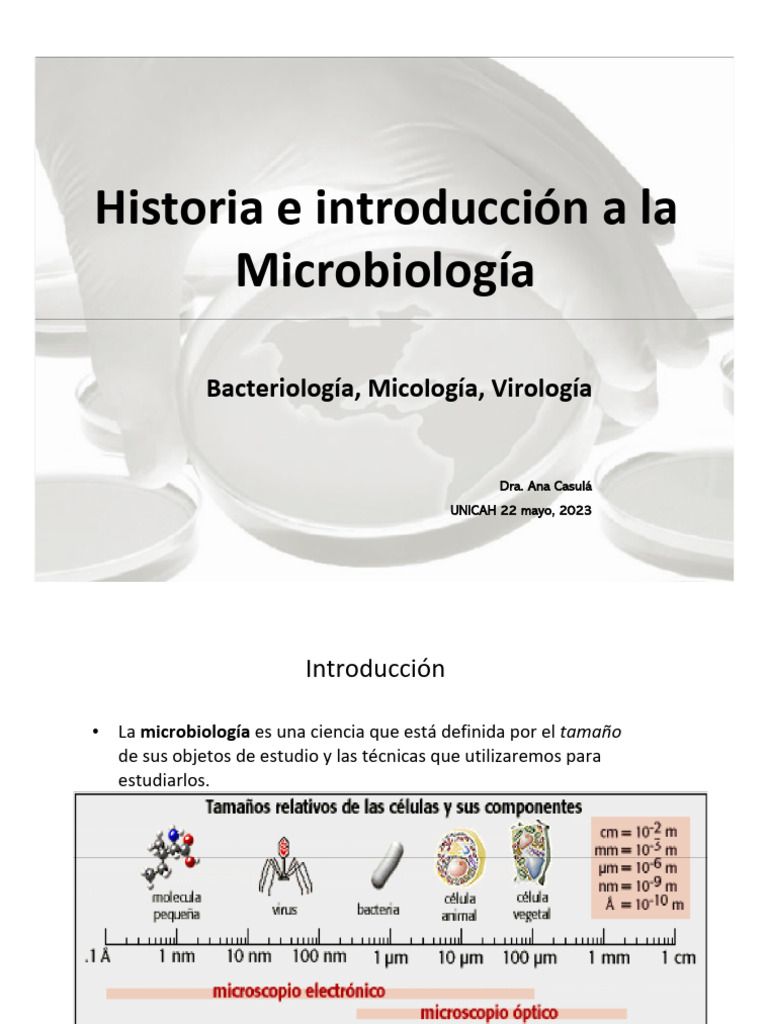 Introducción A La Microbiología Mayo 2023 ENFERMERIA | PDF | Virus | Microbiología