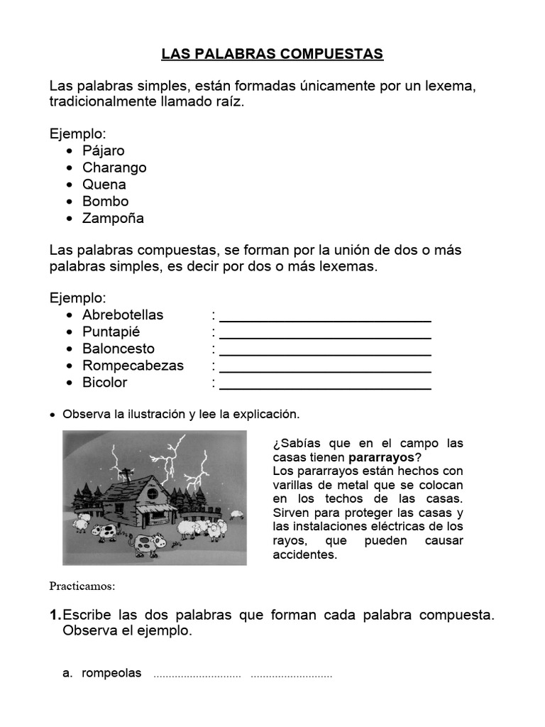Actividades de Palabras Compuestas 2º Primaria | PDF