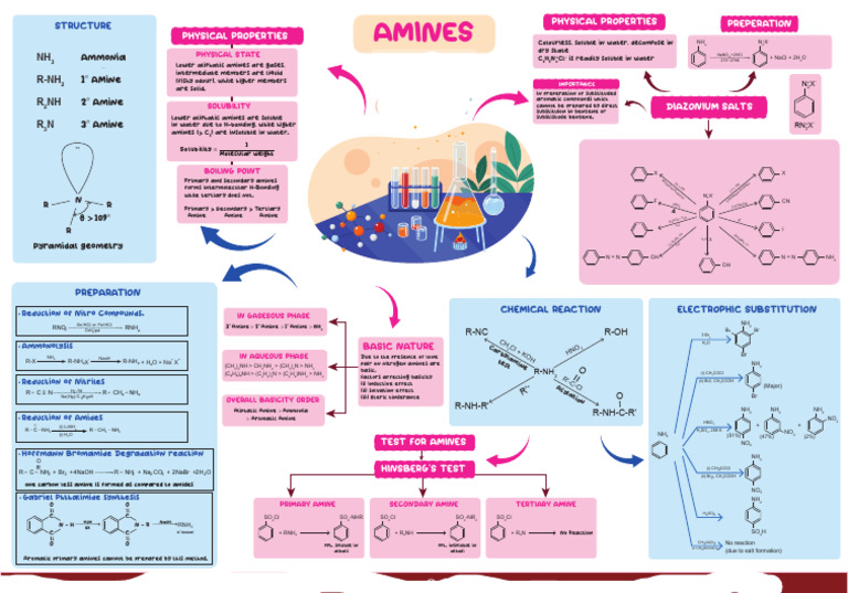 AMINES Mind Map | PDF