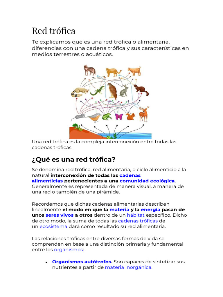 Red Trófica: Conceptos y Ejemplos | PDF | Red alimentaria | Ecología