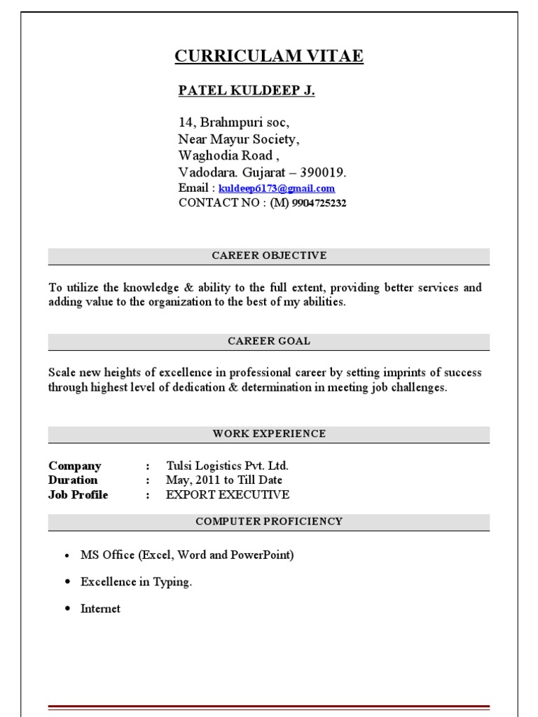 Kuldeep Patel's CV at Tulsi Logistics | PDF