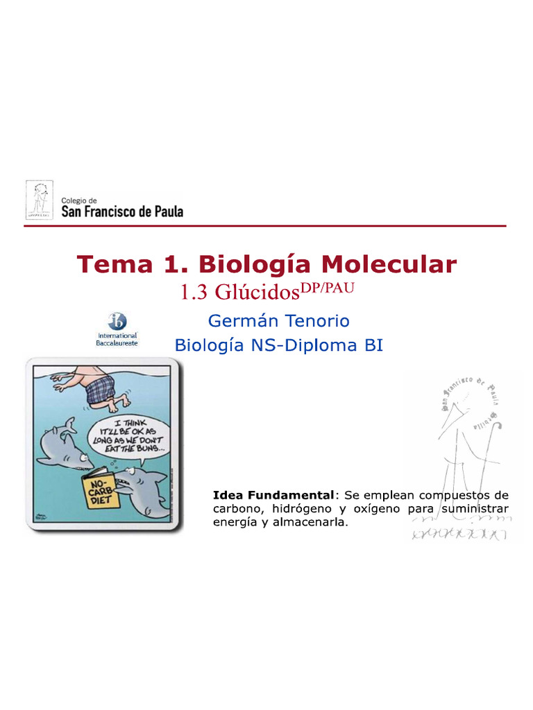 BM3 GlÃºcidos | PDF