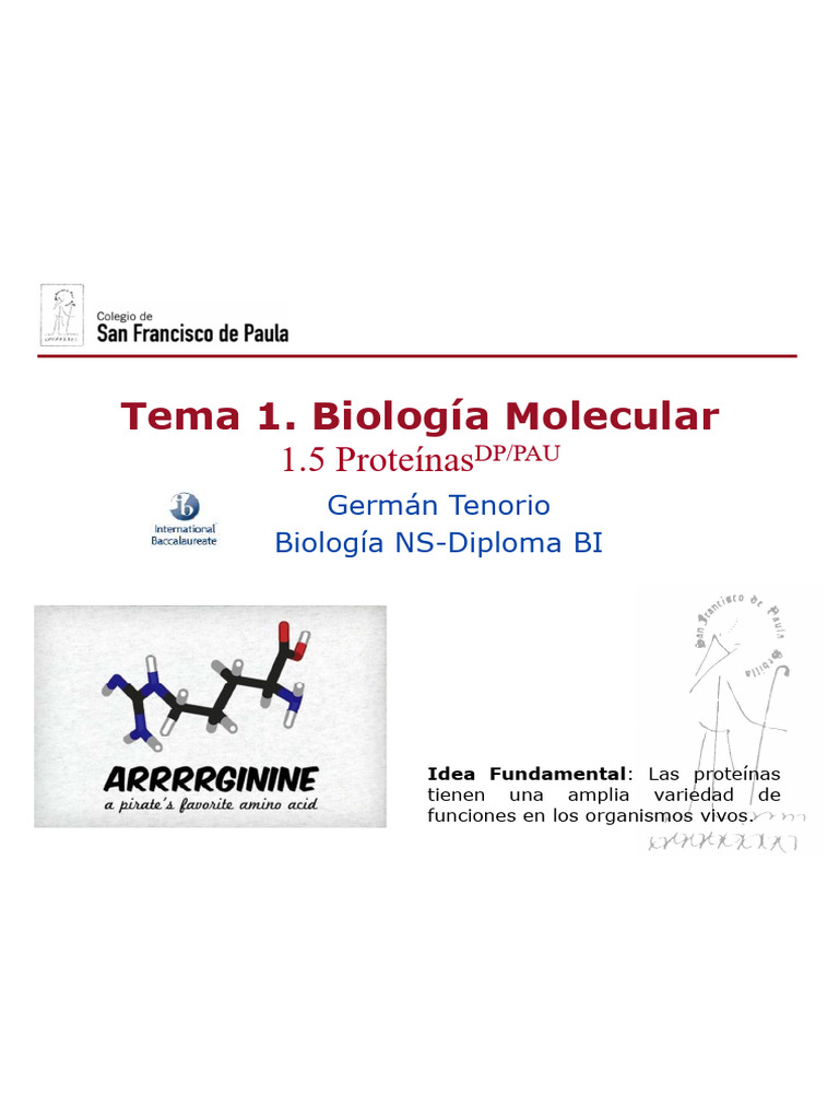 BM5. ProteÃ - Nas | PDF