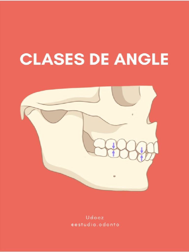 Clases Angle | PDF