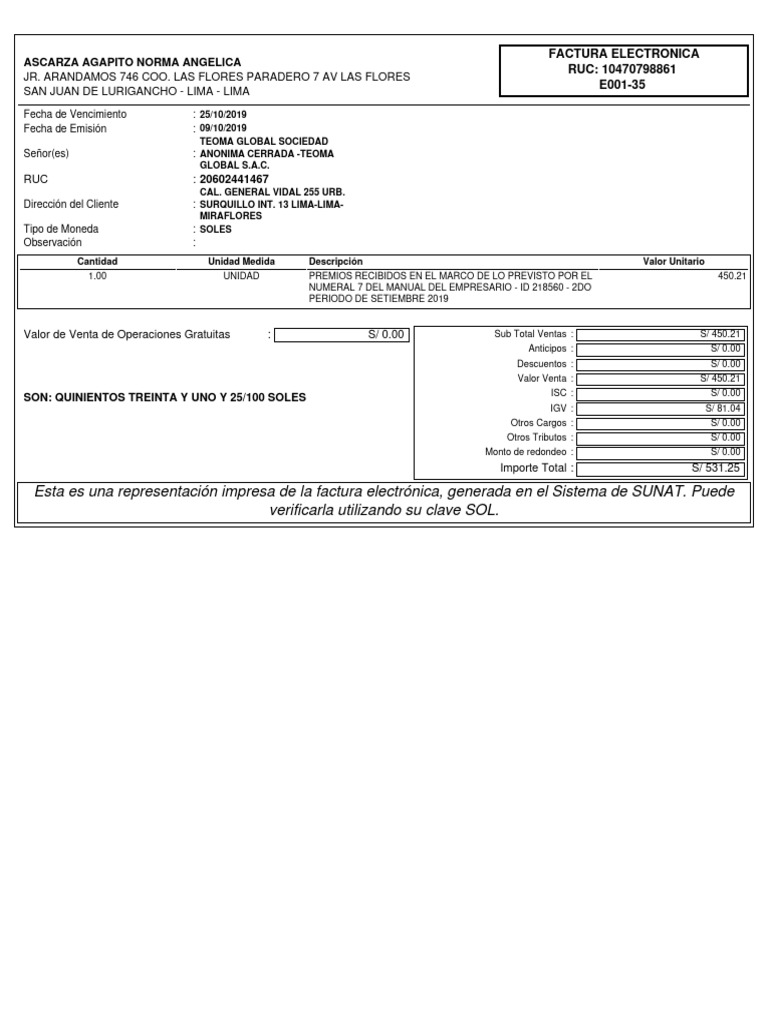 FACTURA ELECTRO E001-35 | PDF | Tecnología bancaria | Pagos