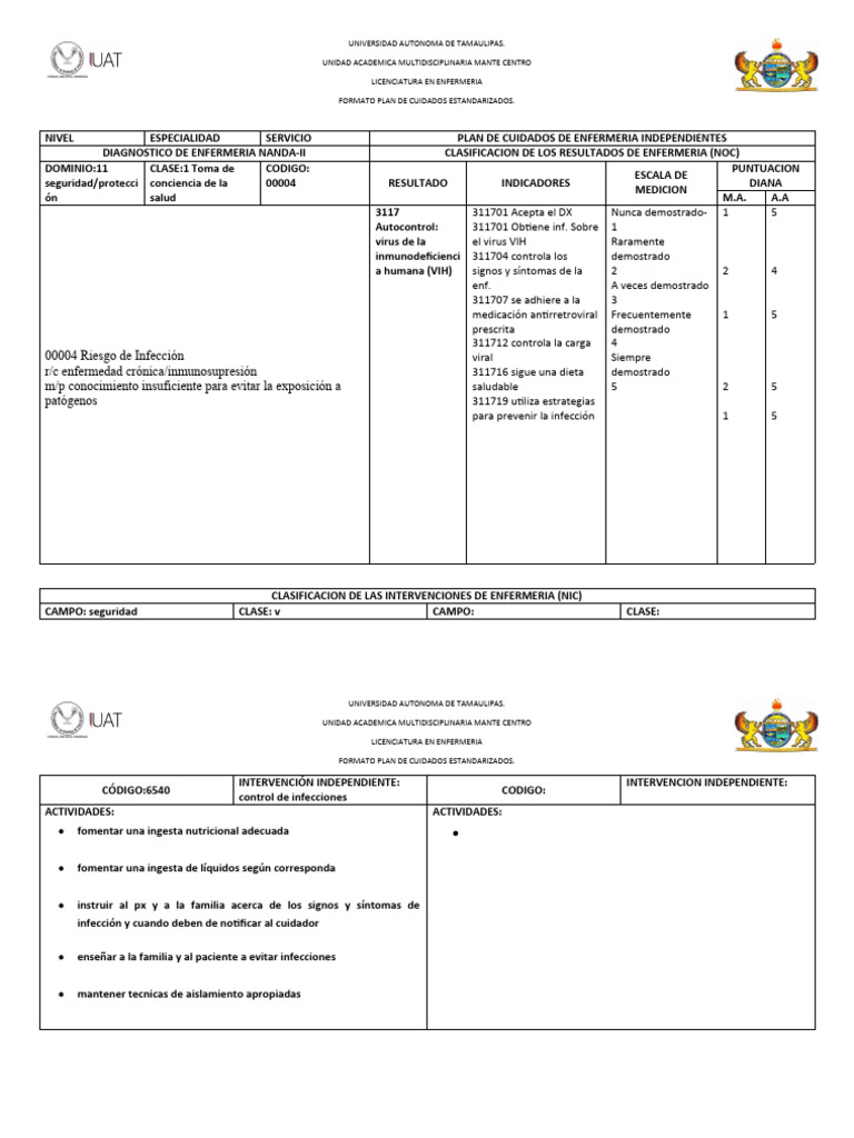 NIC NOC Riesgo de Inf Completo | PDF