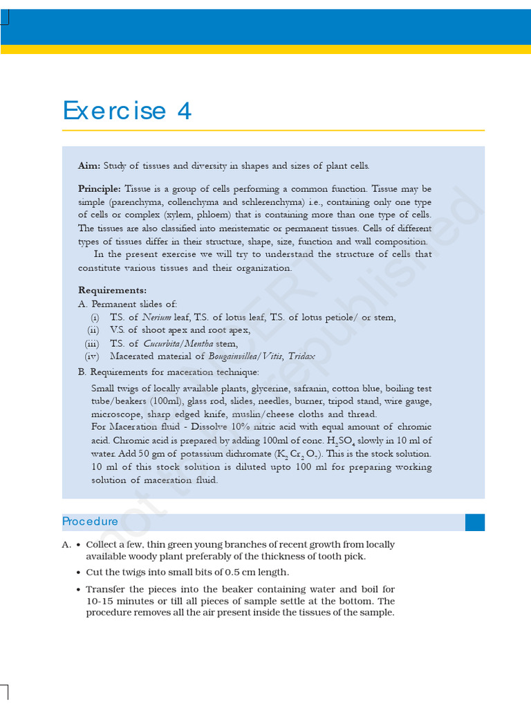 Class 11 Biology Practical | PDF