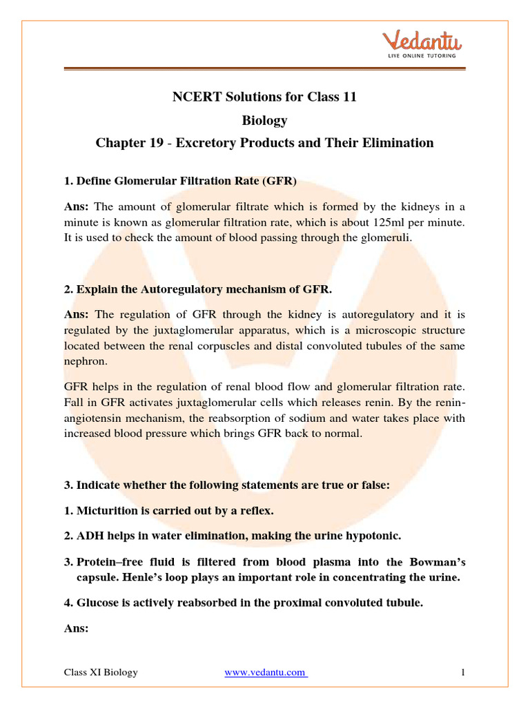 NCERT Solutions For Class 11 Biology Chapter 19 - Excretory Products ...