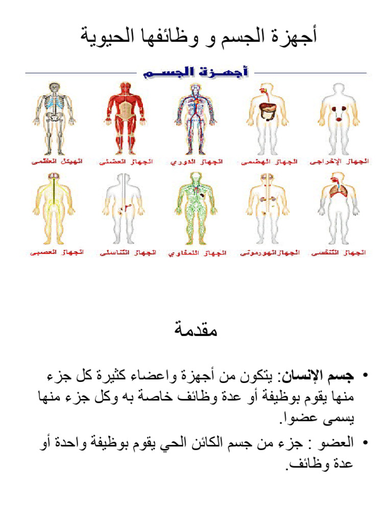 7 Body Systems and Functions | PDF