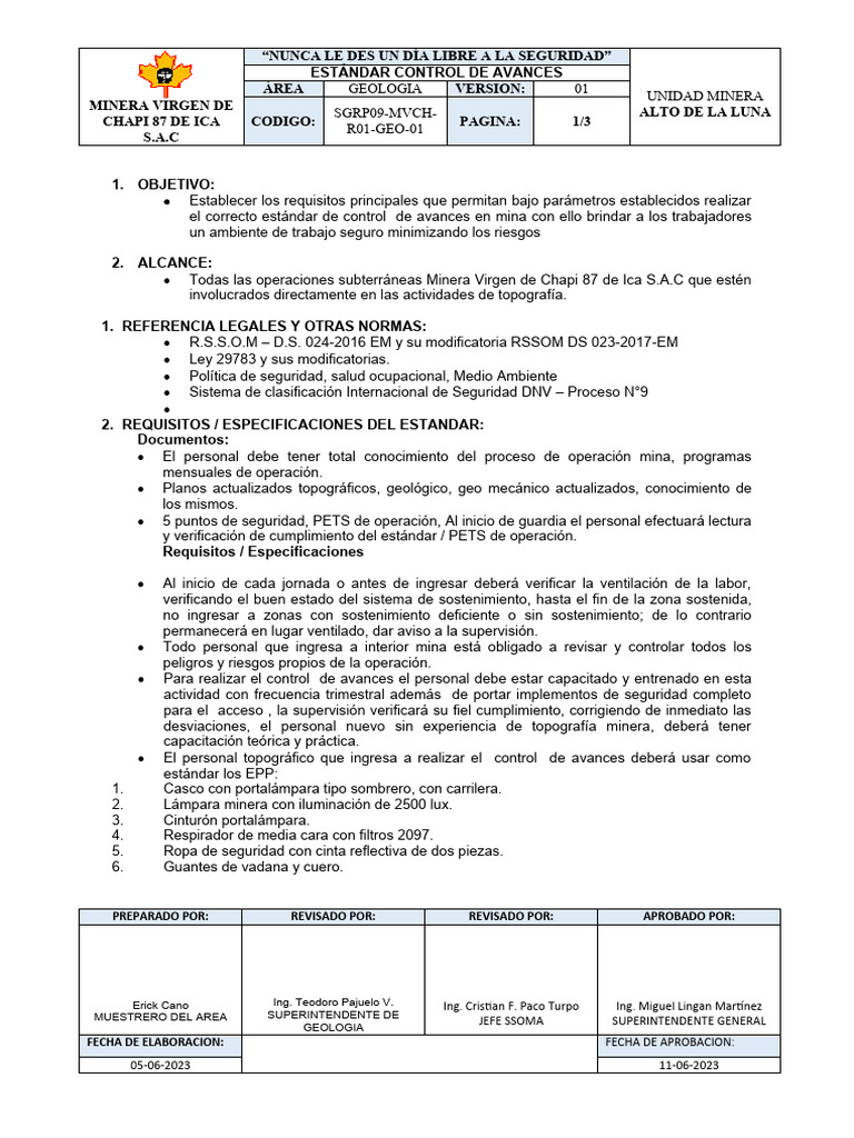 Estandar Control de Avances 7 | PDF