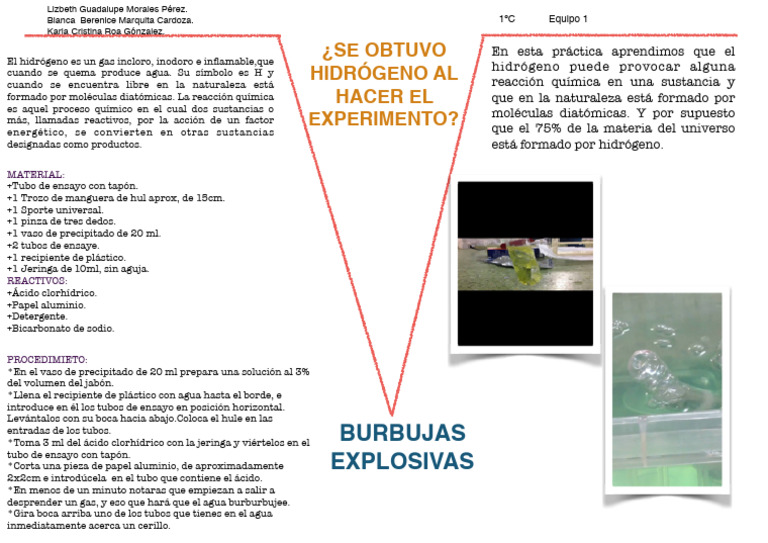 Práctica - Burbujas Explosivas | PDF