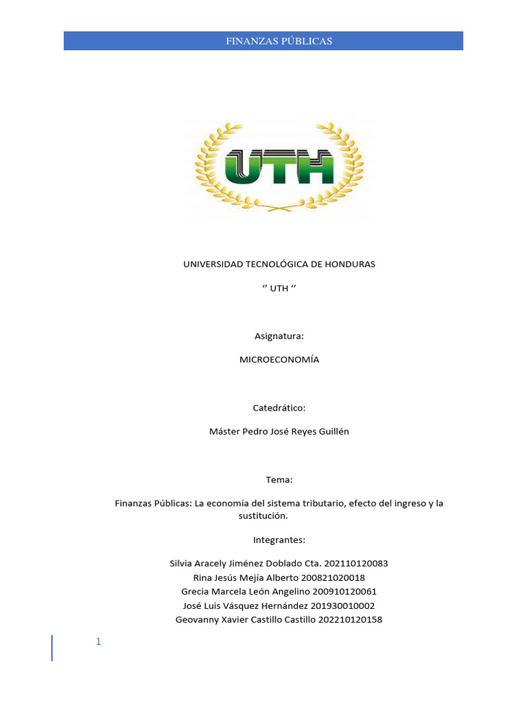 Grupo 4 Finanzas P Blicas | PDF | Impuestos | Salario