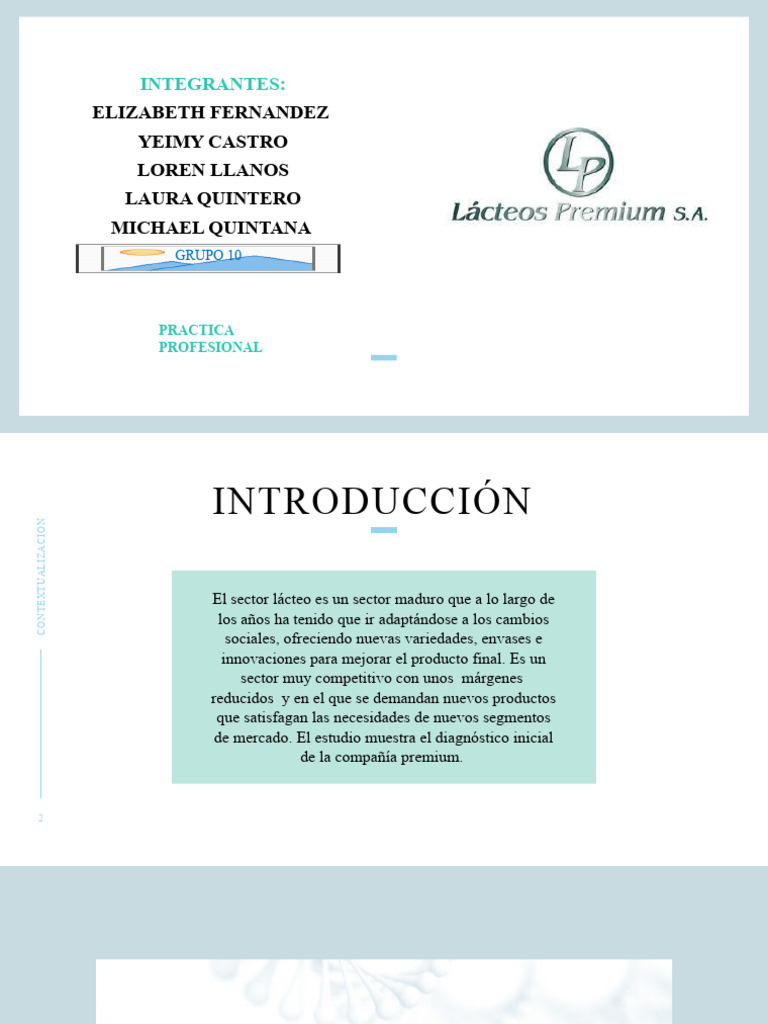 Practica Profesional Eje 2 | PDF