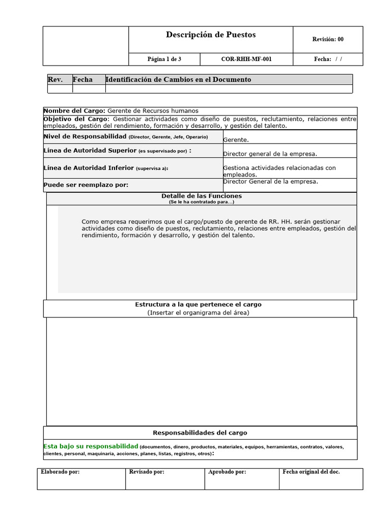 Formato Descripción de Puestos | PDF | Gestión de recursos humanos | Economias