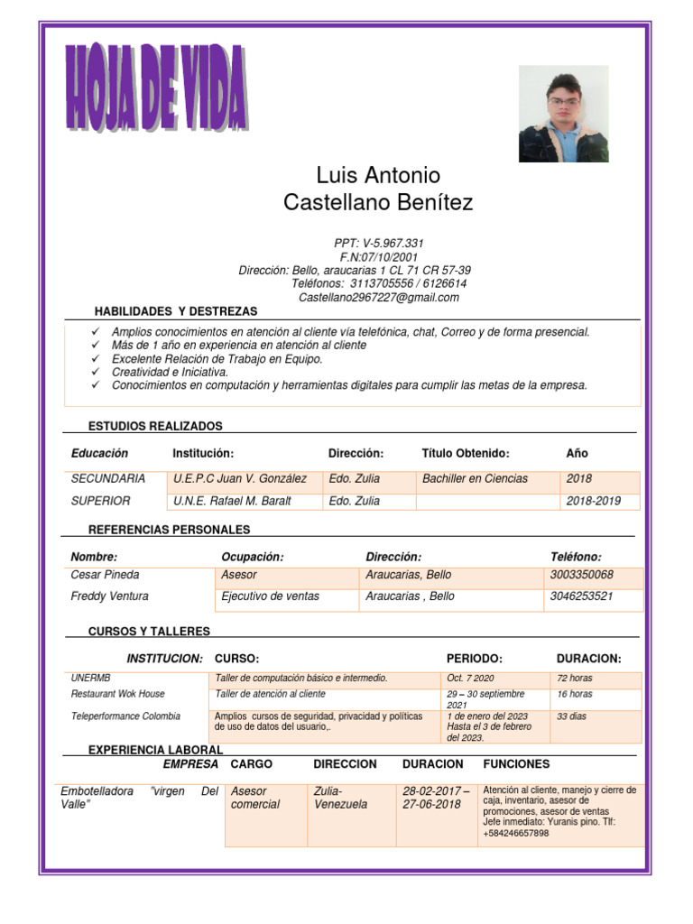 Hoja de Vida Luis Castellano Oficial | PDF