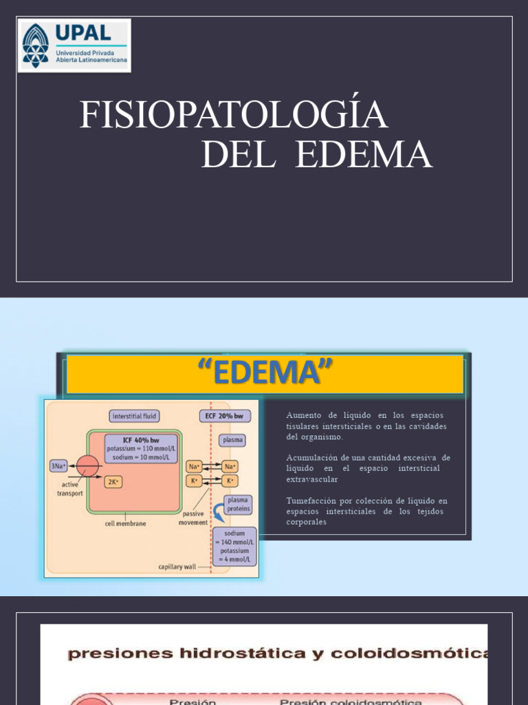 Fisiopatología del Edema Renal | PDF | Edema | Especialidades Medicas
