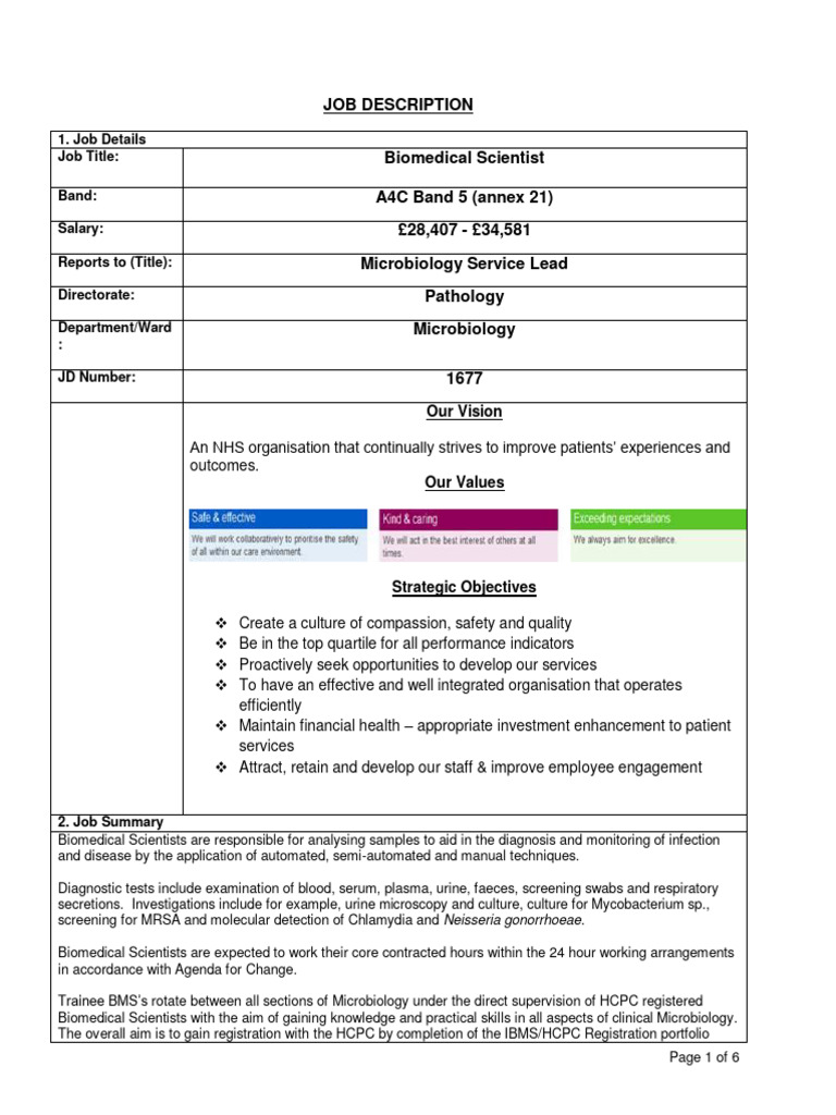 225-BCPS-5678524 - Job Description | PDF