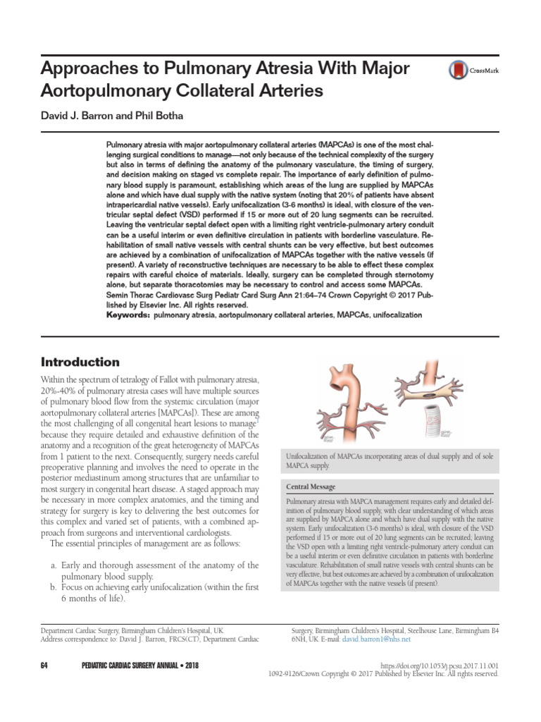 Approaches To Pulmonary Atresia With MAPCAS | PDF