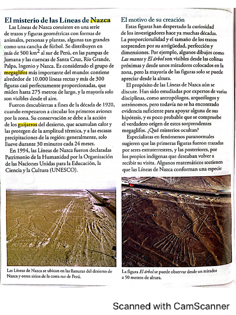 La Líneas de Nazca | PDF