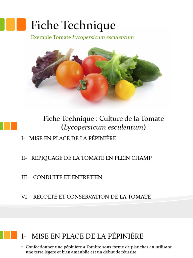 Fiche Technique | PDF | Tomate | Fumier