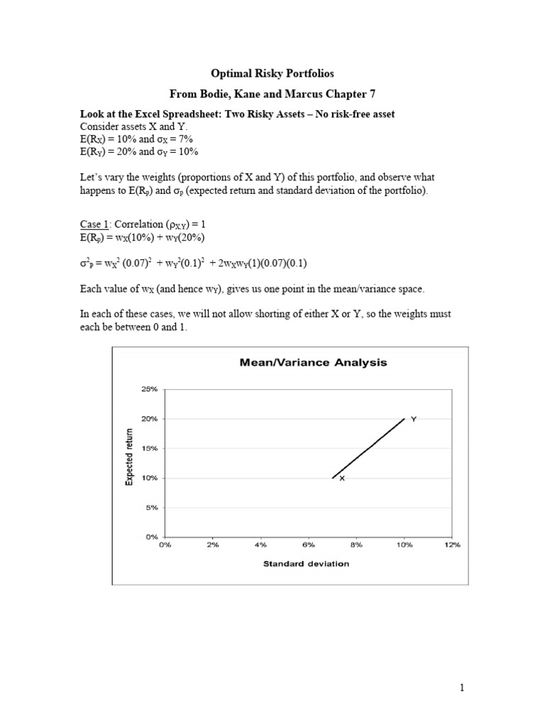 Optimal Risky Portfolios Guide | PDF