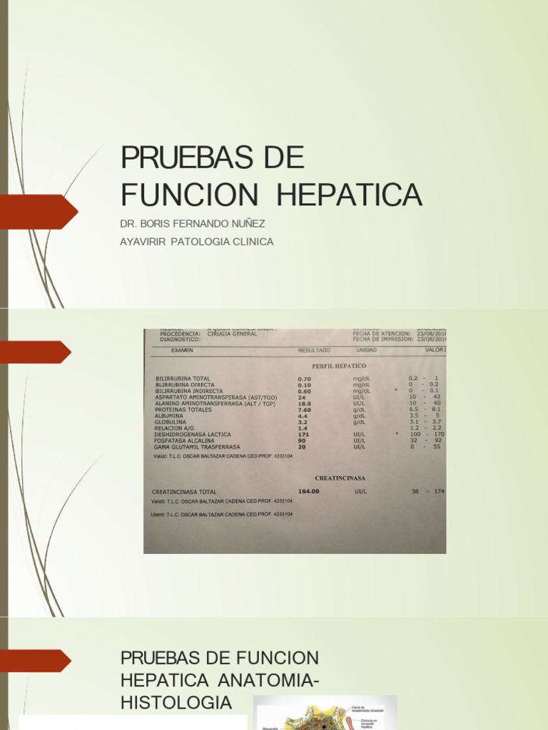 Pruebas de Funcion Hepatica | PDF | Transaminasa | Alanina transaminasa