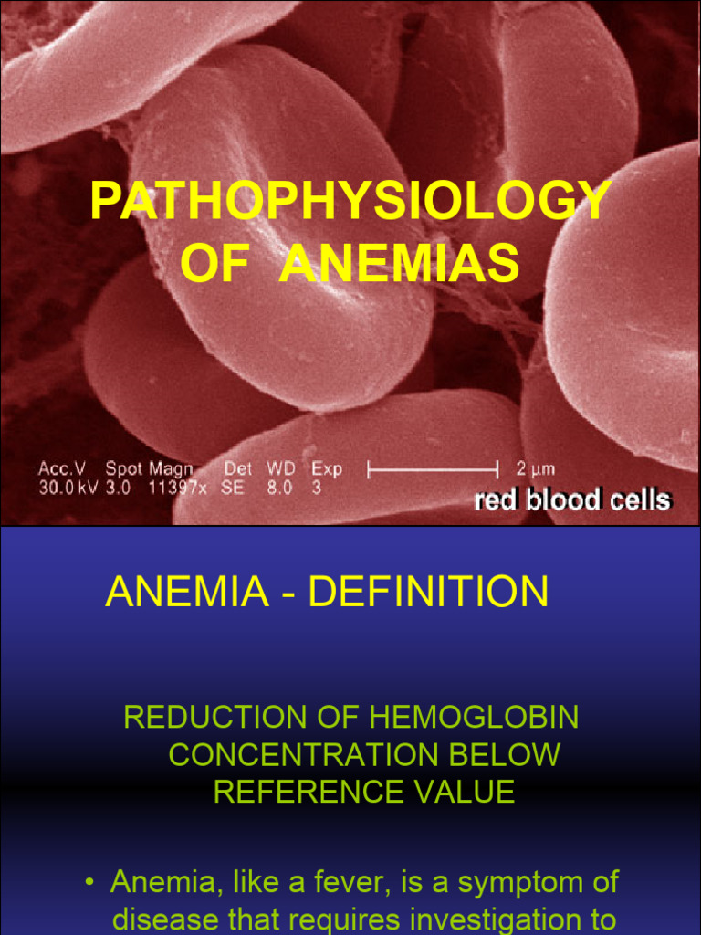 Anemia S | PDF | Anemia | Red Blood Cell