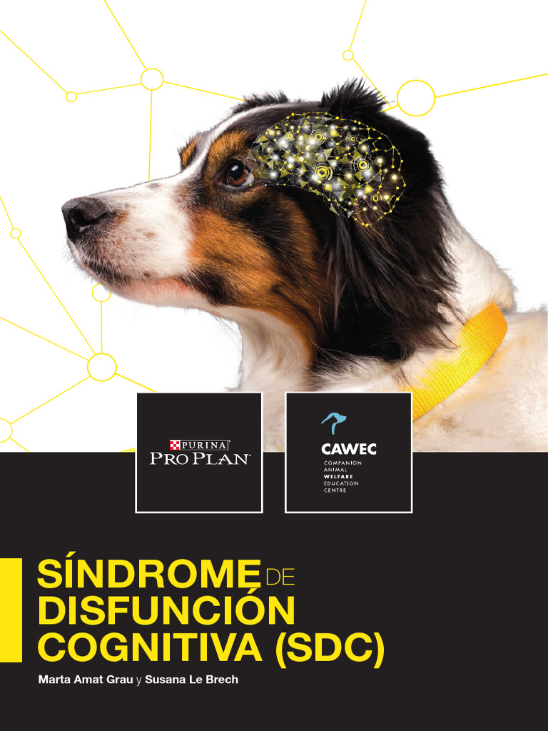 Libro SDC | PDF | Gatos | Dieta