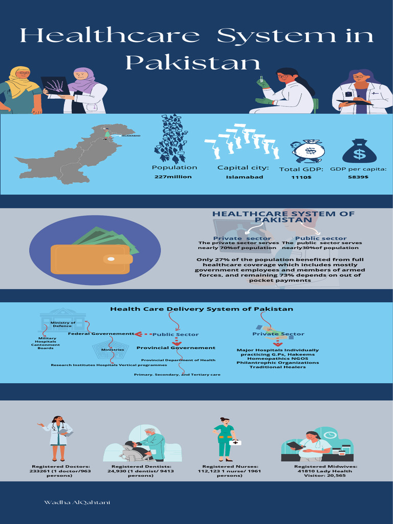 Healthcare in Pakistan | PDF | Health Care | Health Economics