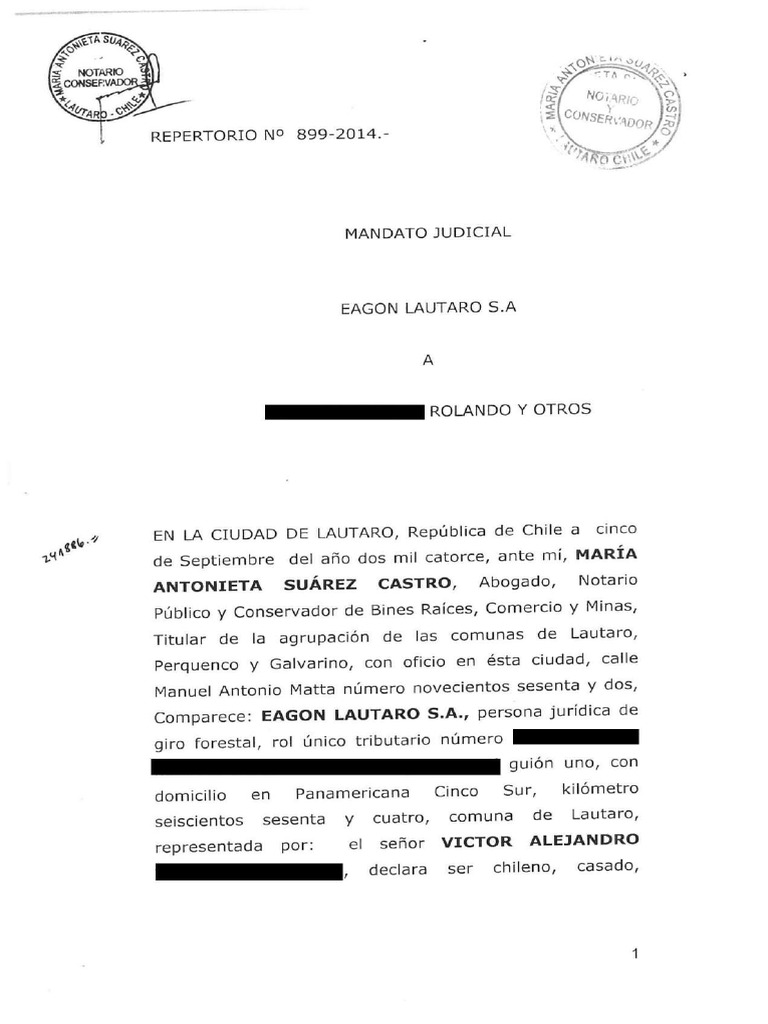 Mandato Ejemplo | PDF