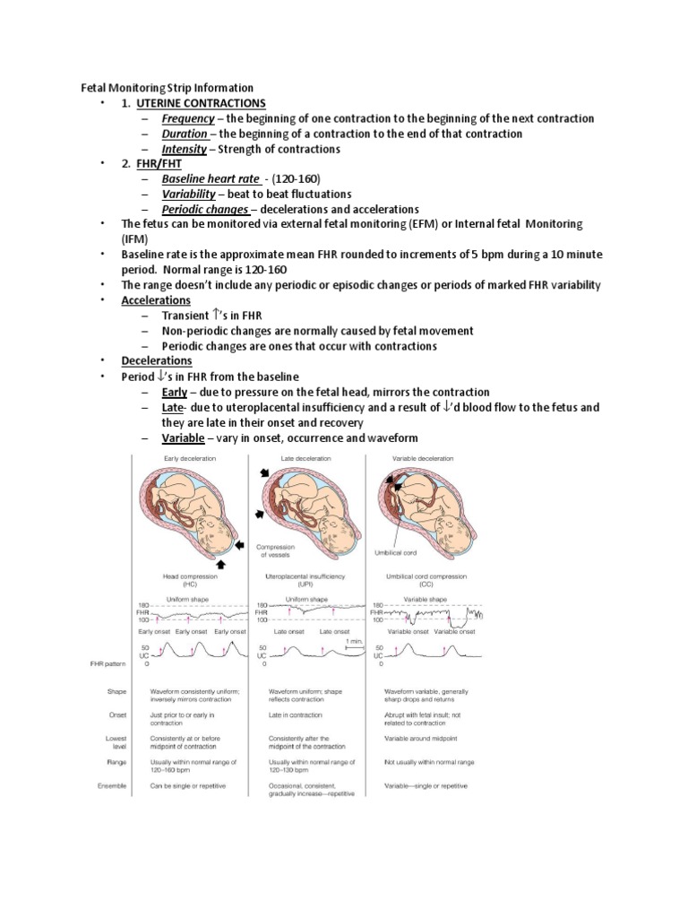 Fetal Monitoring Strip Guide | PDF | Obstetrics | Clinical Medicine