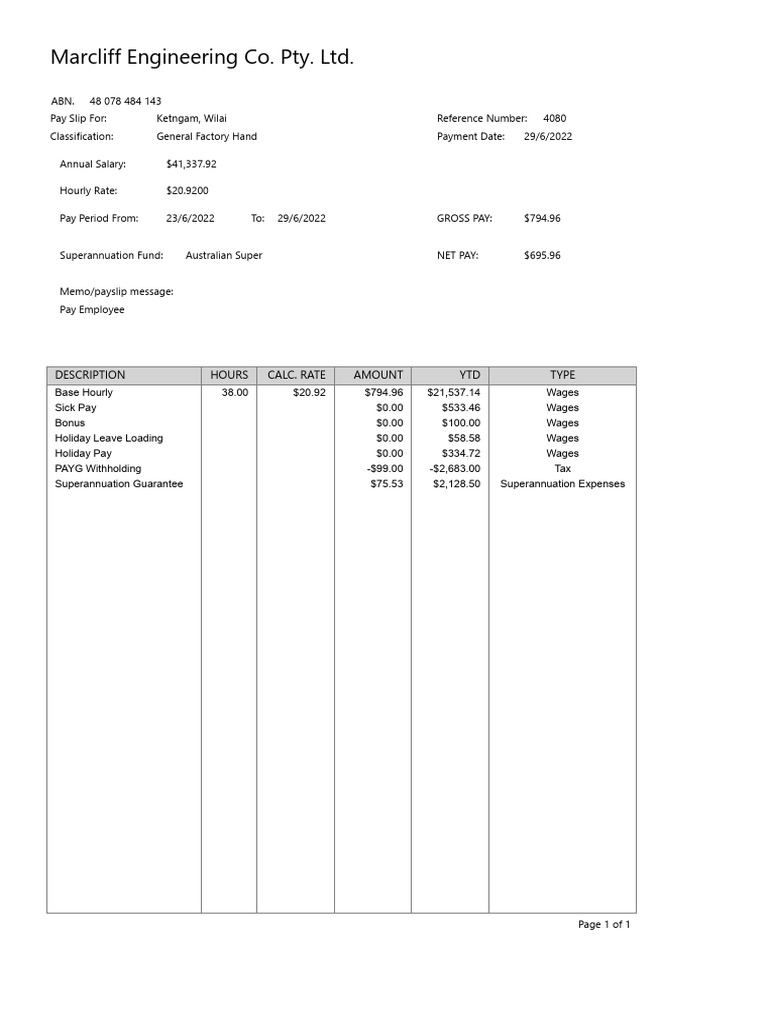 Pay Slip | PDF