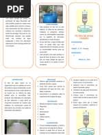 Trifolio de Experimento El Pez Globo | PDF