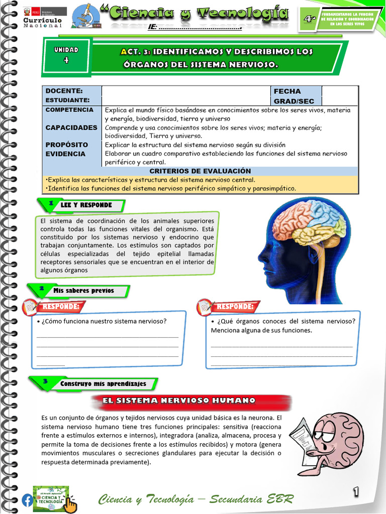 B-4º Act 3-Cyt-Und 4 | PDF