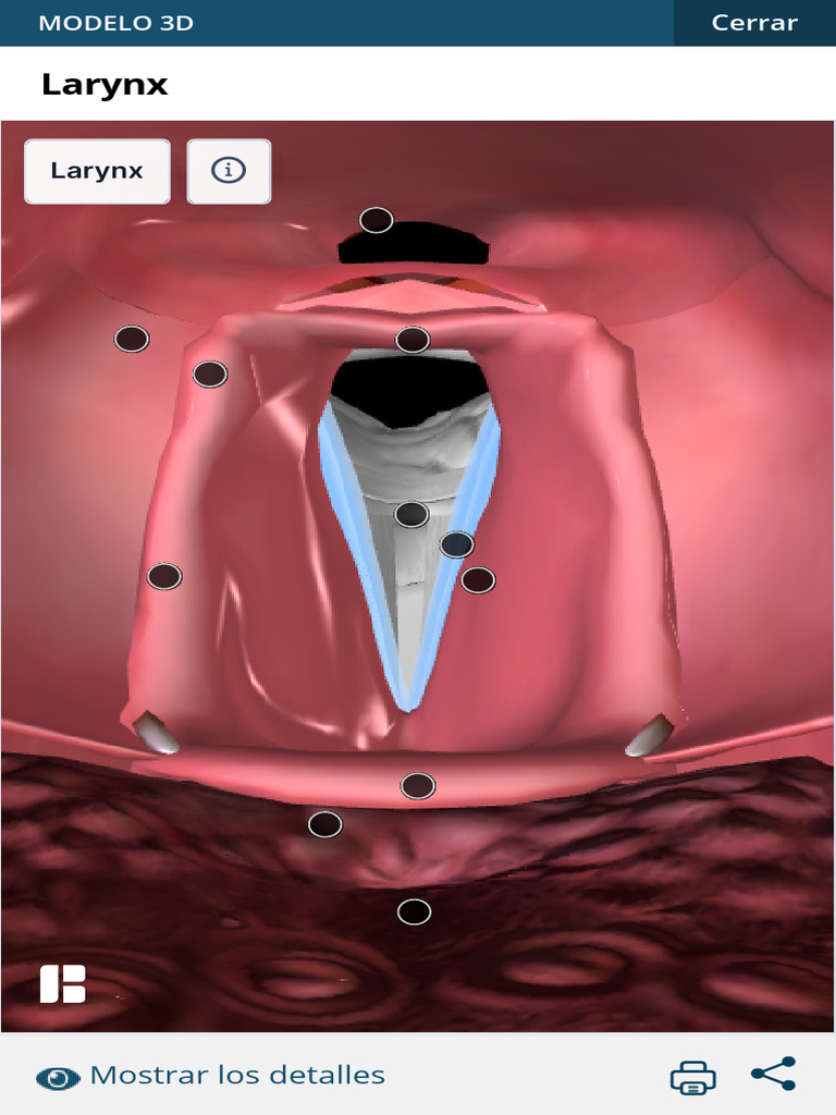 Cómo Hacer La Laringoscopia Con Espejo (Indirecta) - Trastornos ...