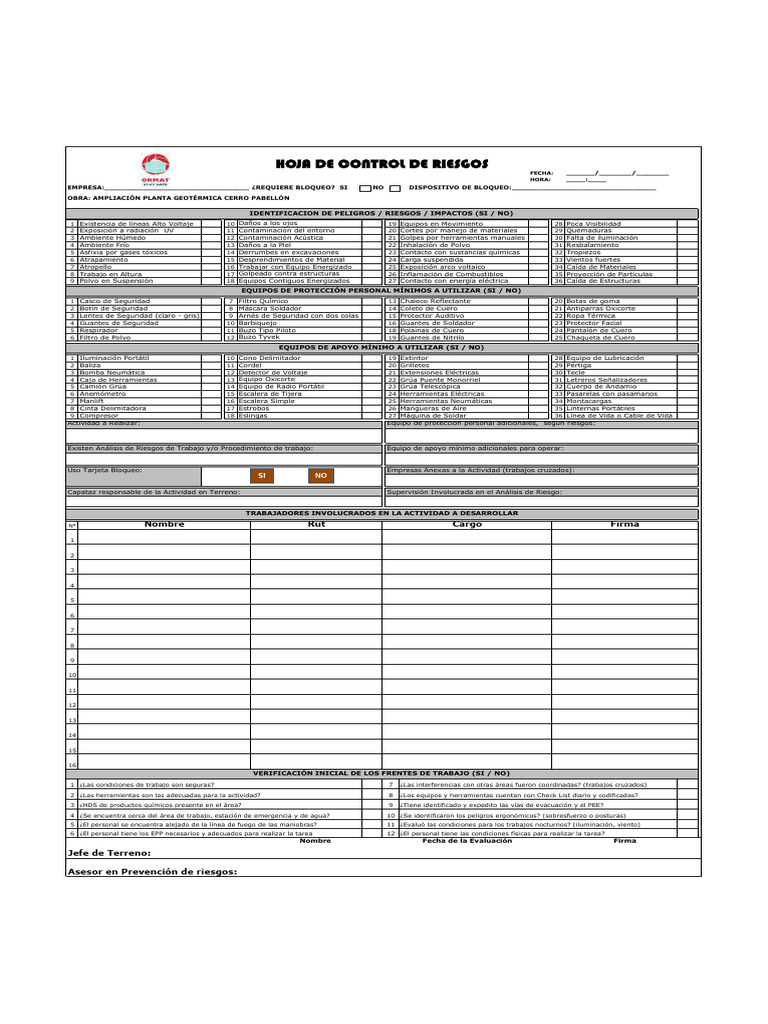 Formato HCR-ART Rev 011 | PDF