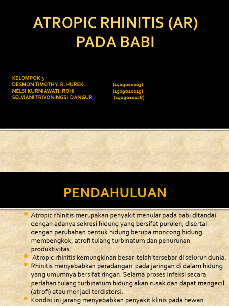 Atropic Rhinitis (Ar) Pada Babi | PDF