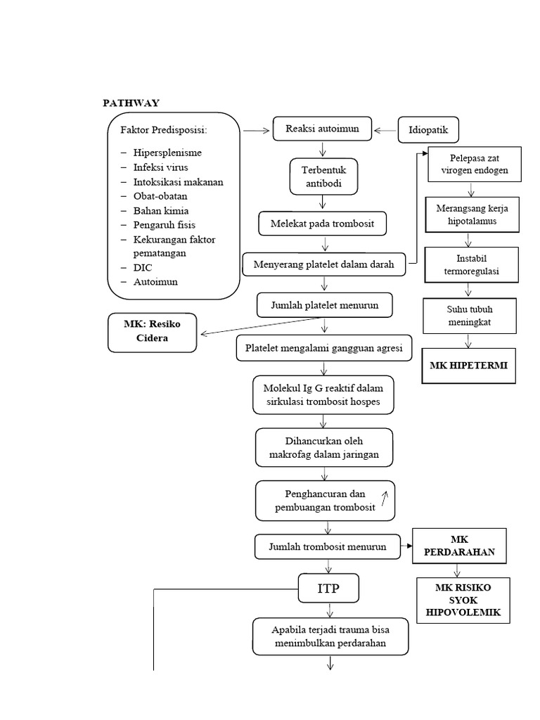 Pathway Itp | PDF
