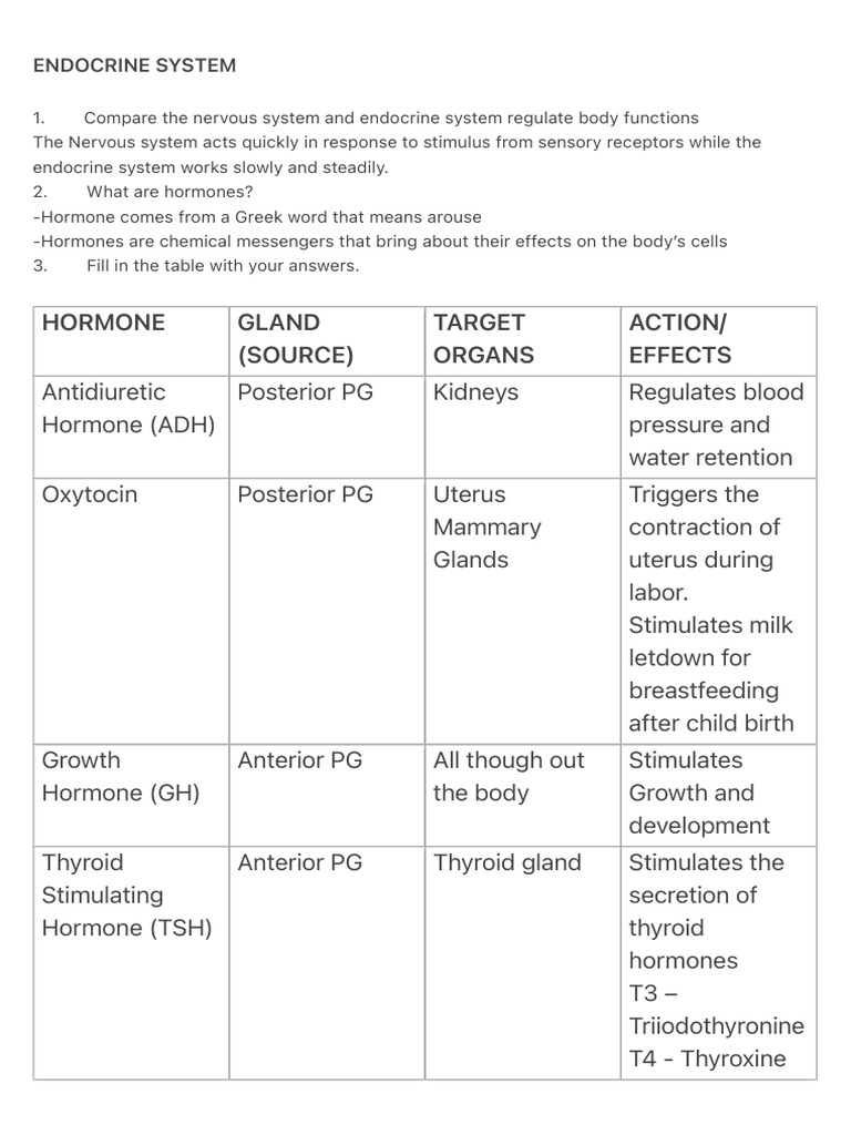Endocrine System | PDF | Endocrine System | Hormone