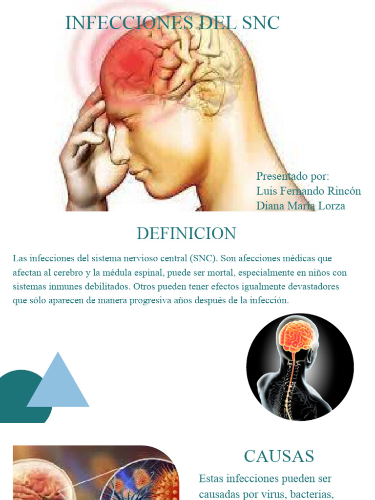 Infecciones Del SNC | PDF